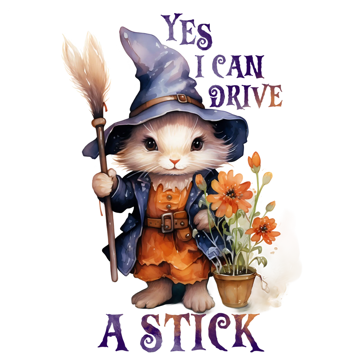 YesICanDriveaStick_1200x1200.png?v=1733629026